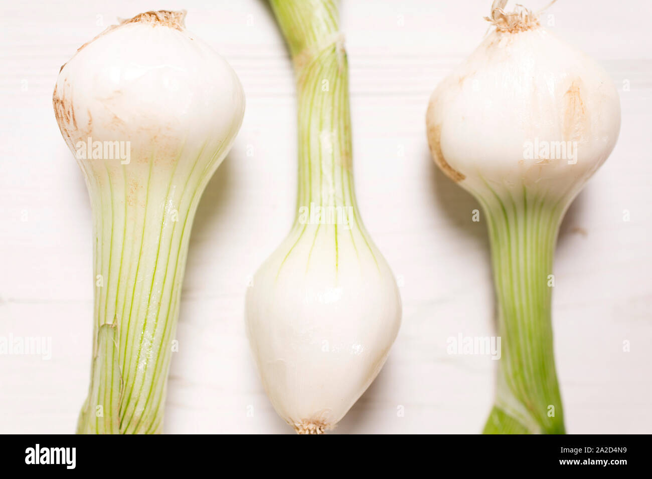 Large spring onion bulbs on a light wooden surface Stock Photo - Alamy
