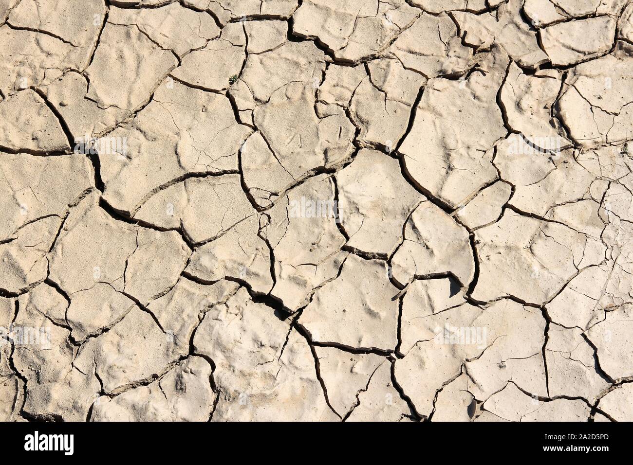 Dried mud surface - desert background. Death Valley, California Stock ...