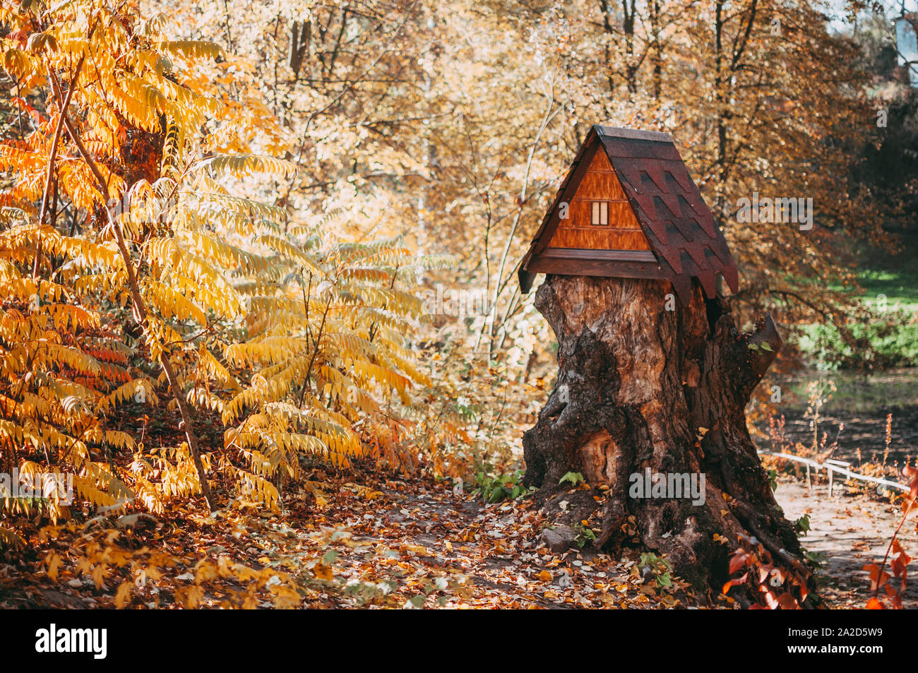 Squirrel house hi-res stock photography and images - Alamy