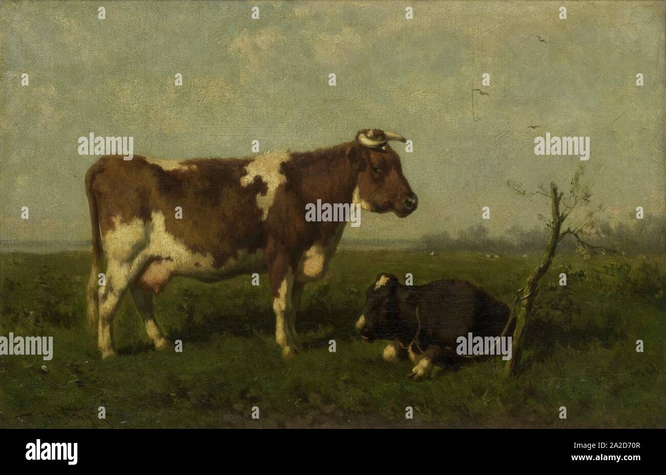 Kalf hi-res stock photography and images - Alamy