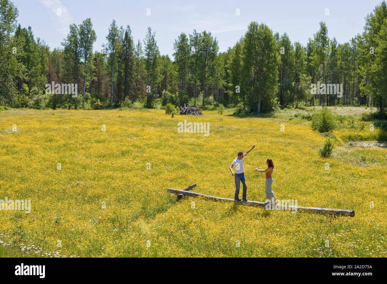 Adult female log balancing hi-res stock photography and images - Alamy