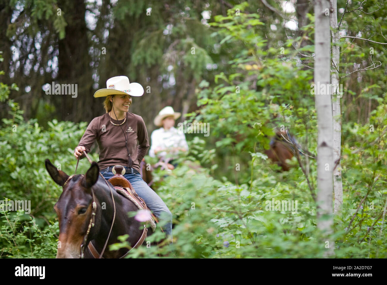 Woman riding horse through forest hi-res stock photography and images ...