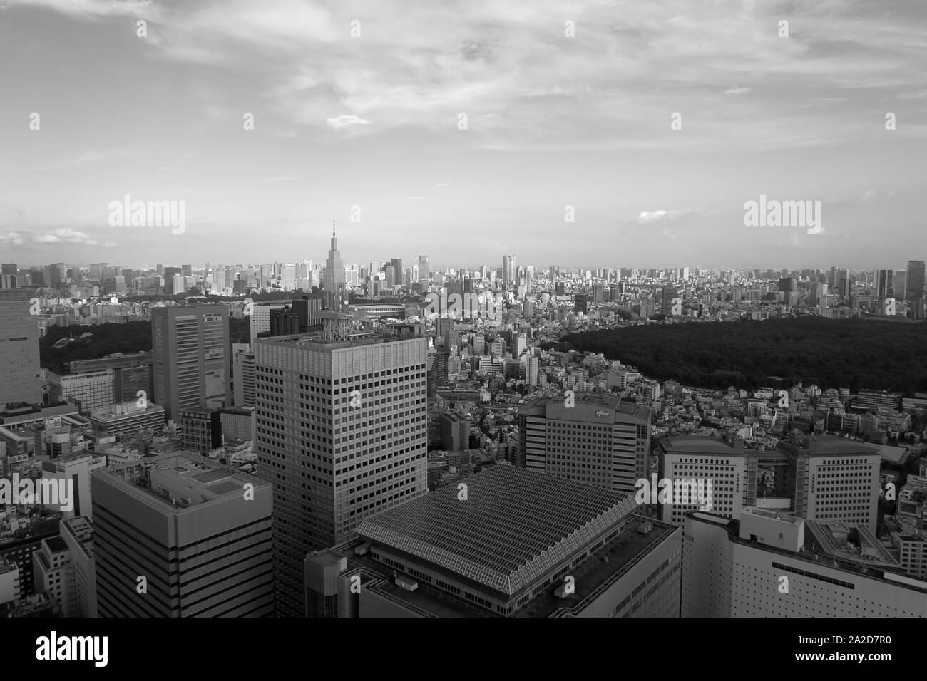 Metropolitan building tokyo Black and White Stock Photos & Images - Alamy