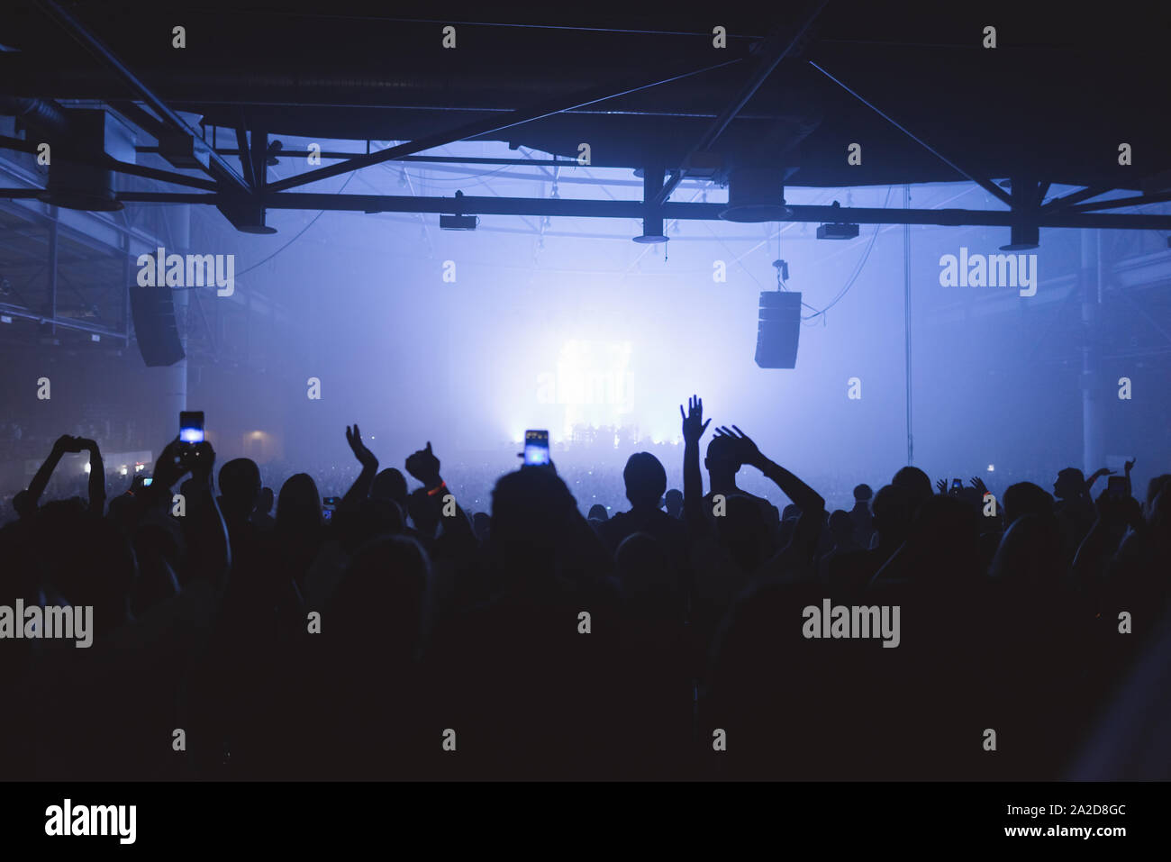 The famous DJ gives a concert. Silhouettes of fans at the concert ...