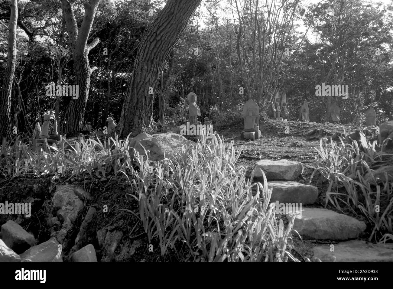 Mount rokko hi-res stock photography and images - Alamy