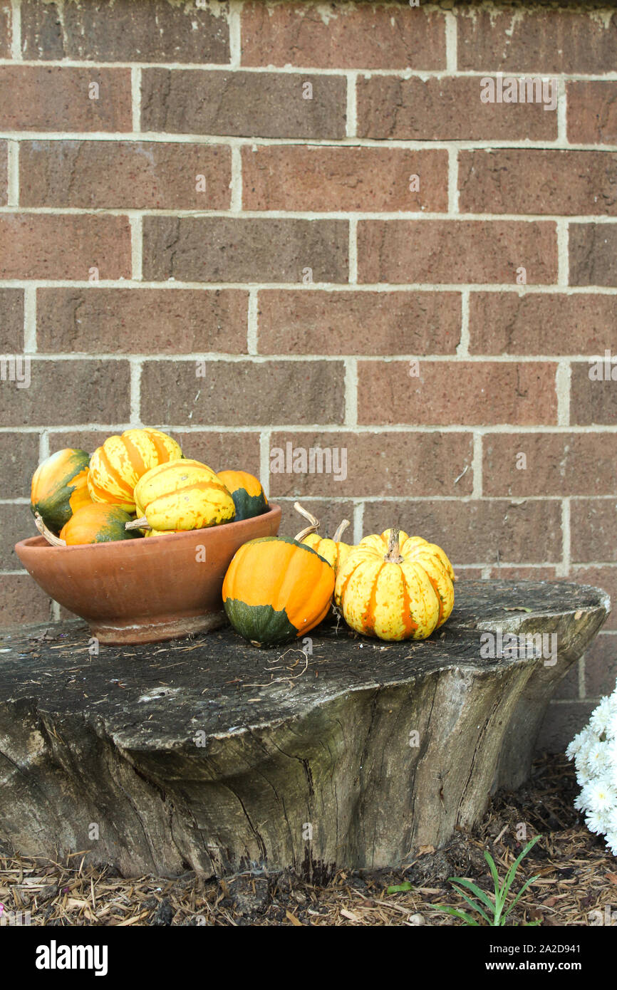 Fall Gourd Arrangement In Bowl In Front Of Brick Wall Stock Photo - Alamy