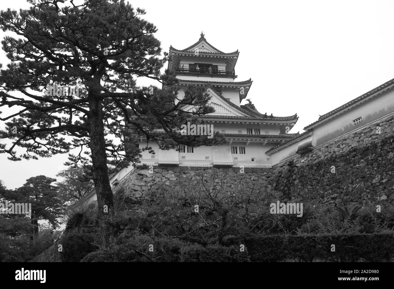 Kochi castle hi-res stock photography and images - Alamy