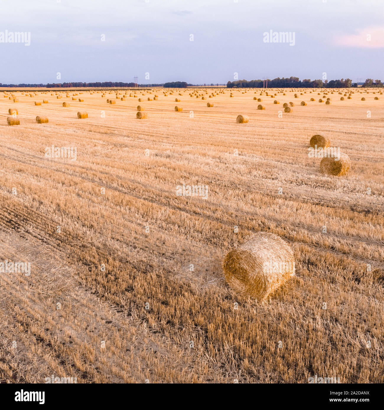 aerial view sunset field harvest autumn time Stock Photo - Alamy