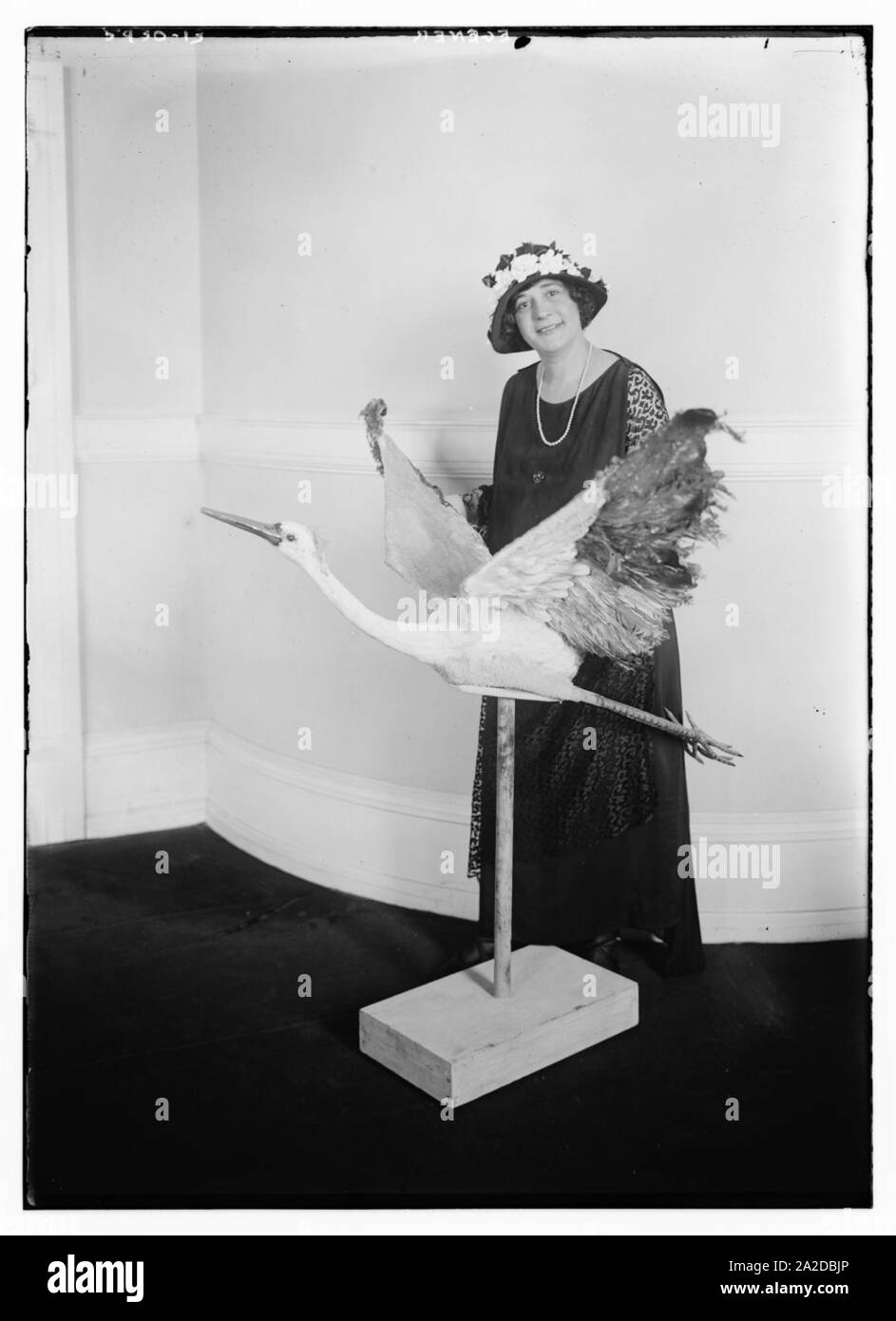 Bird reference Black and White Stock Photos & Images - Alamy