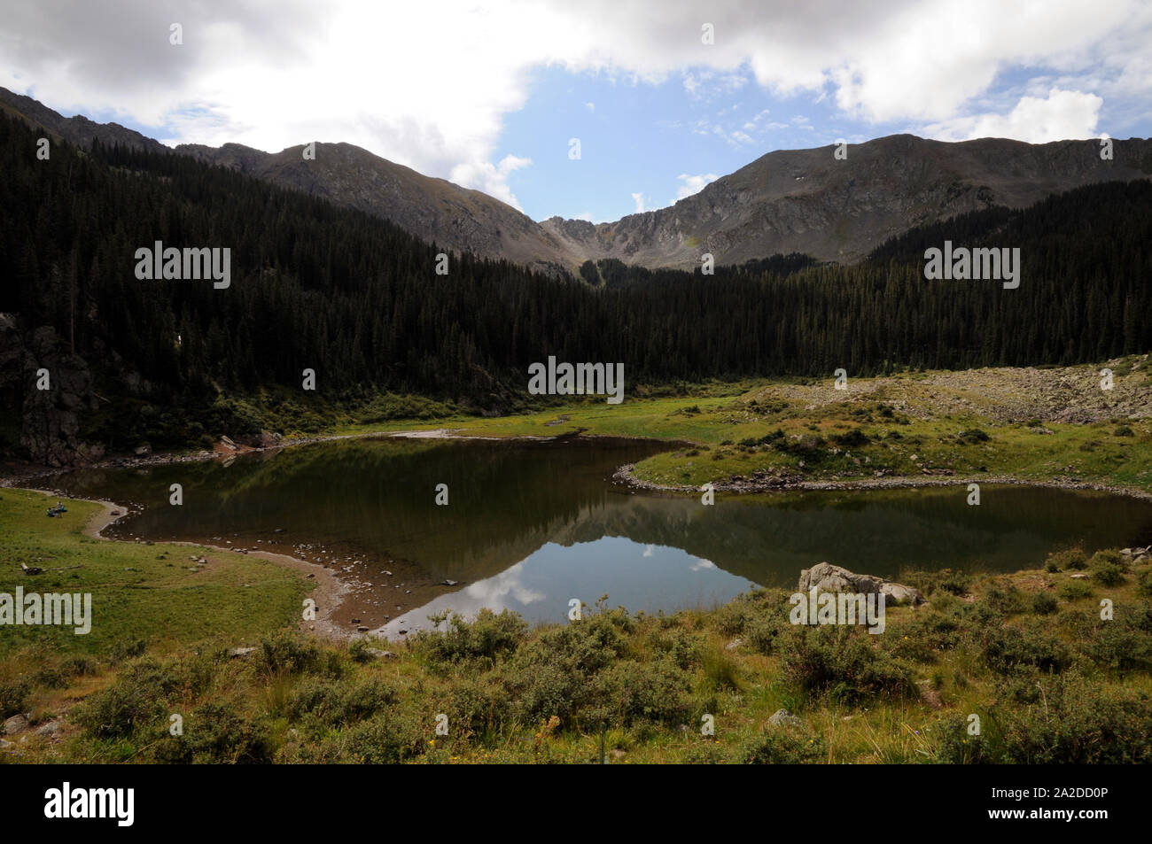 Carson national forest hi-res stock photography and images - Alamy