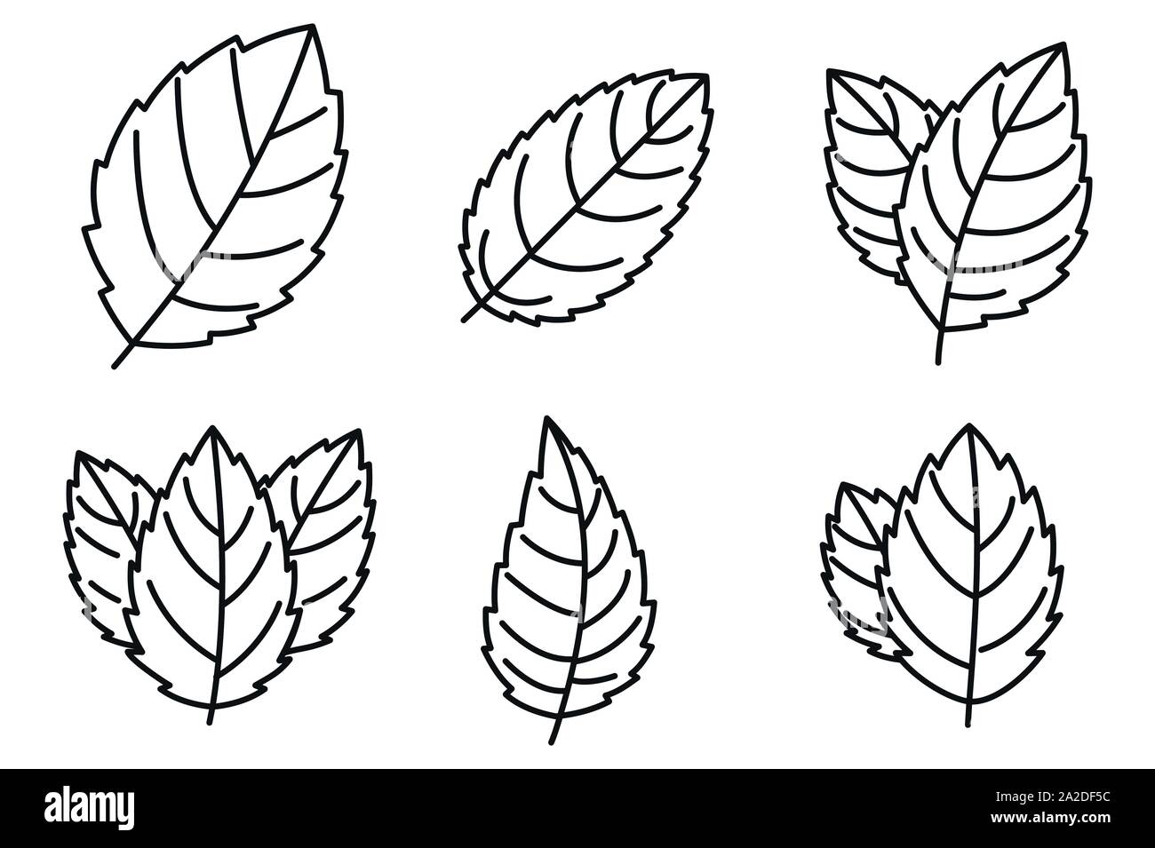 Peppermint icons set. Outline set of peppermint vector icons for web ...