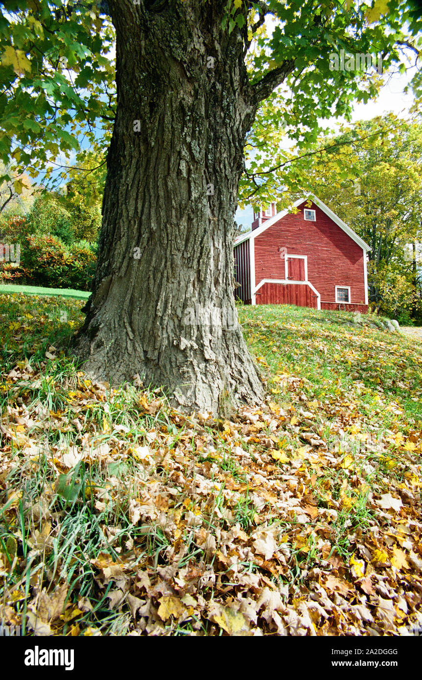 October fall foliage vermont hi-res stock photography and images - Alamy