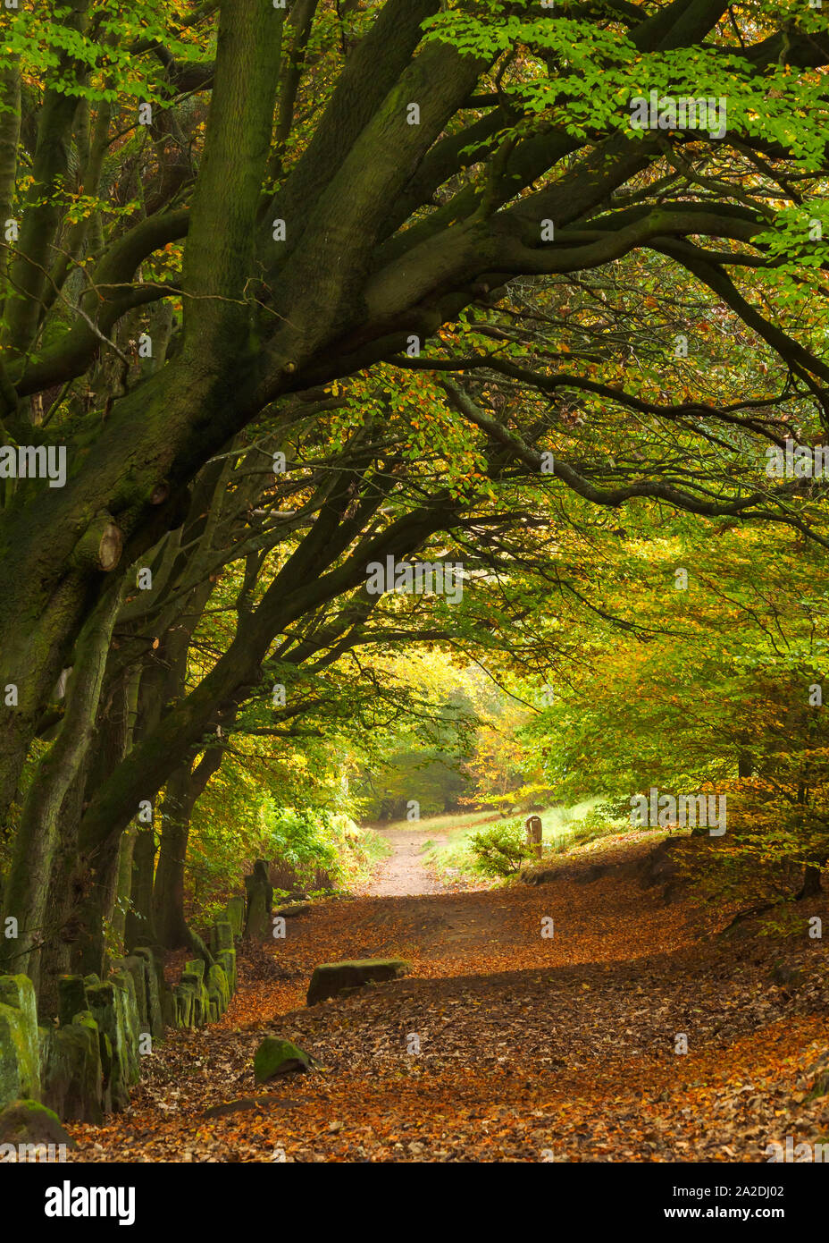 Otley hi-res stock photography and images - Alamy