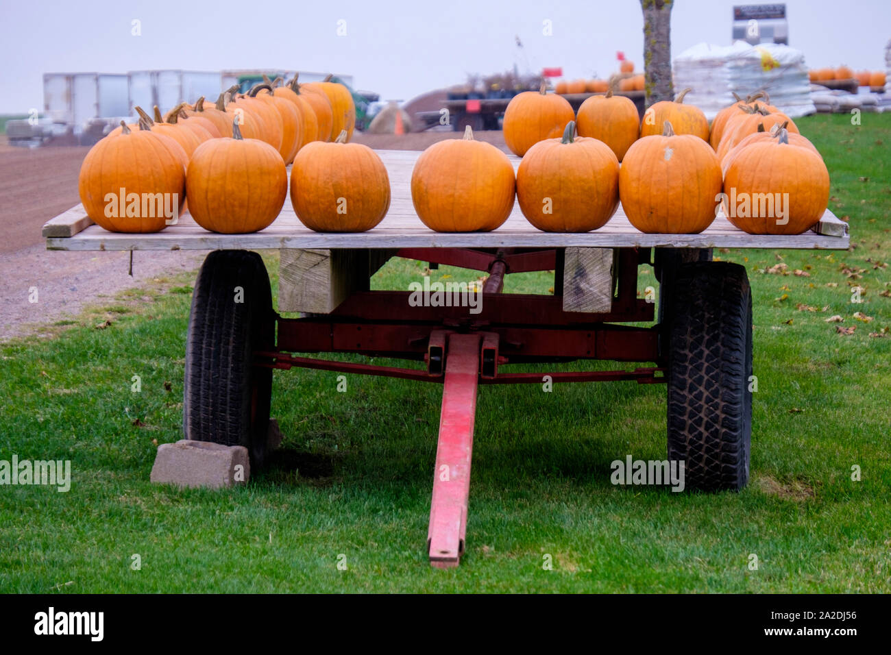 Pumpkin & produce displays at Summerside, Prince Edward Island, Canada ...