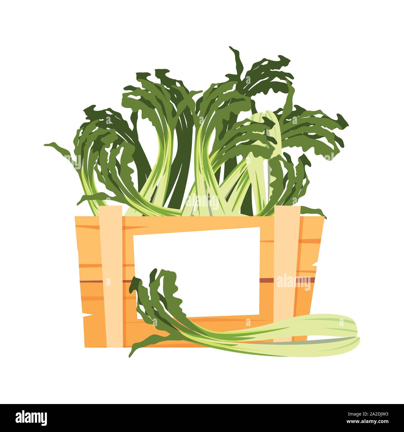 celery design, Vegetable organic food healthy fresh natural and market ...