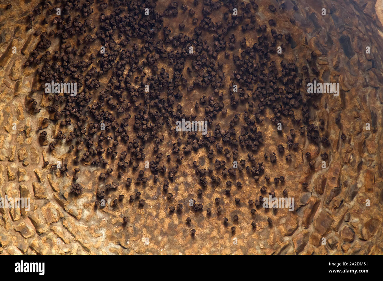 Subterranean vault hi-res stock photography and images - Alamy