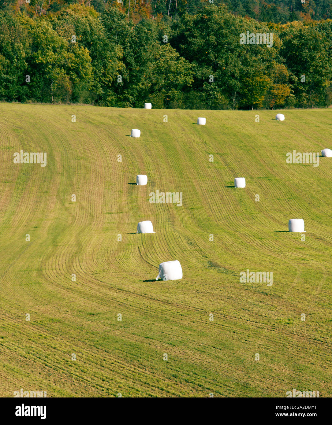 The crop in the fields is harvested, plowing and sowing of winter crops ...