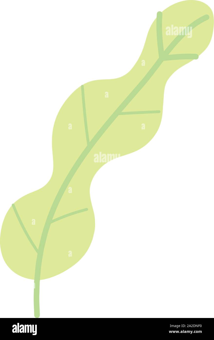 Long leaf icon. Cartoon of long leaf vector icon for web design ...
