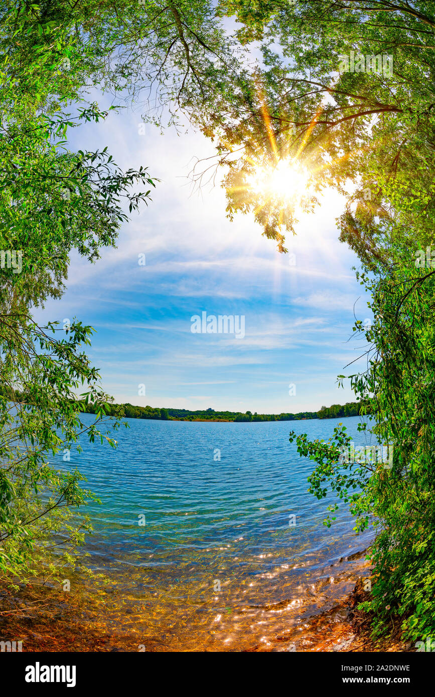 Sunny Day At The Lake