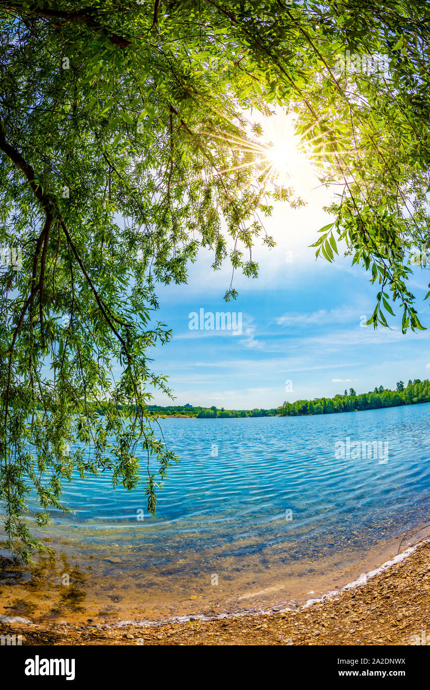 Lake with trees and bright sun on a hot summer day Stock Photo - Alamy