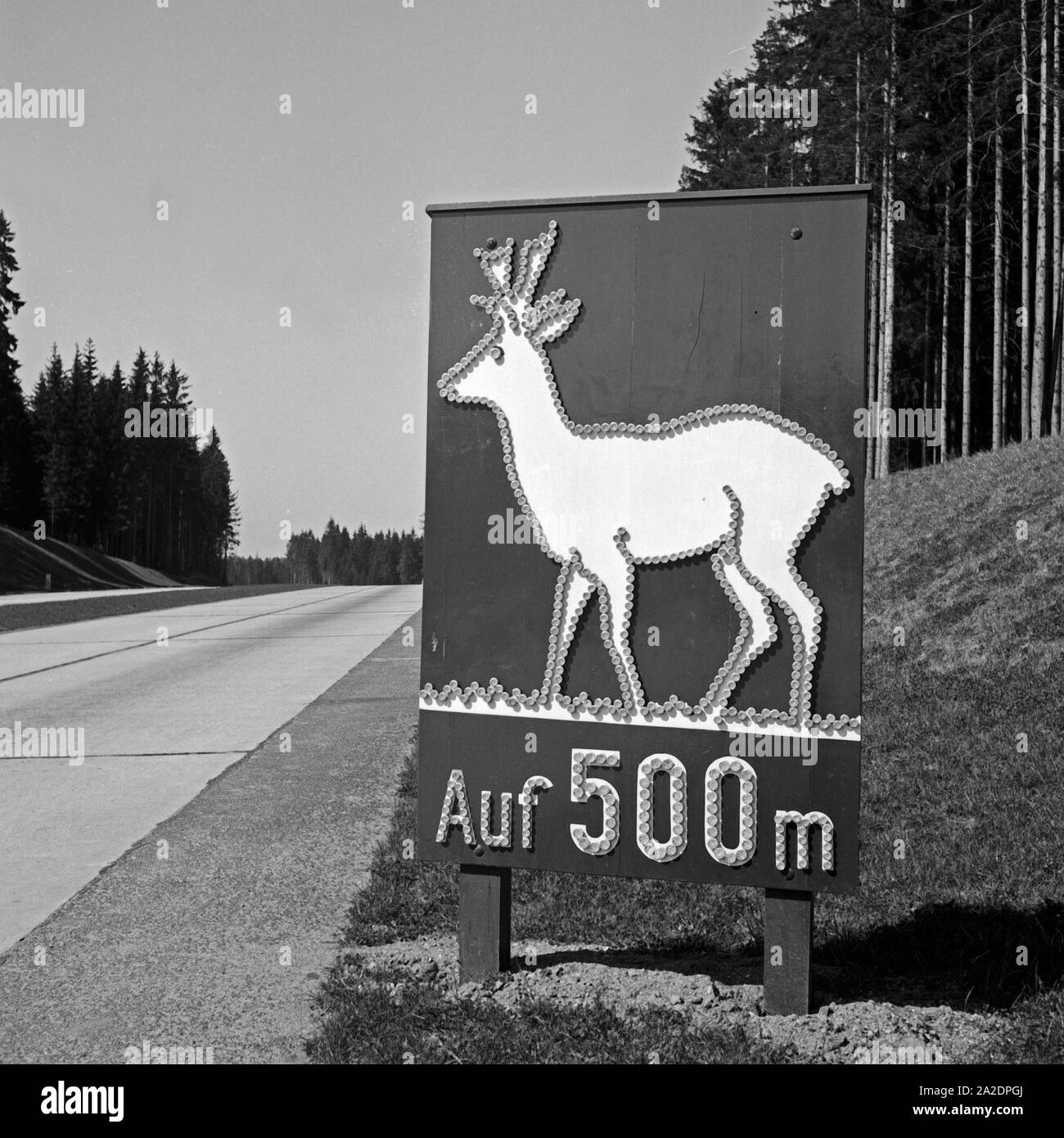 Warning deer crossing Black and White Stock Photos & Images - Alamy