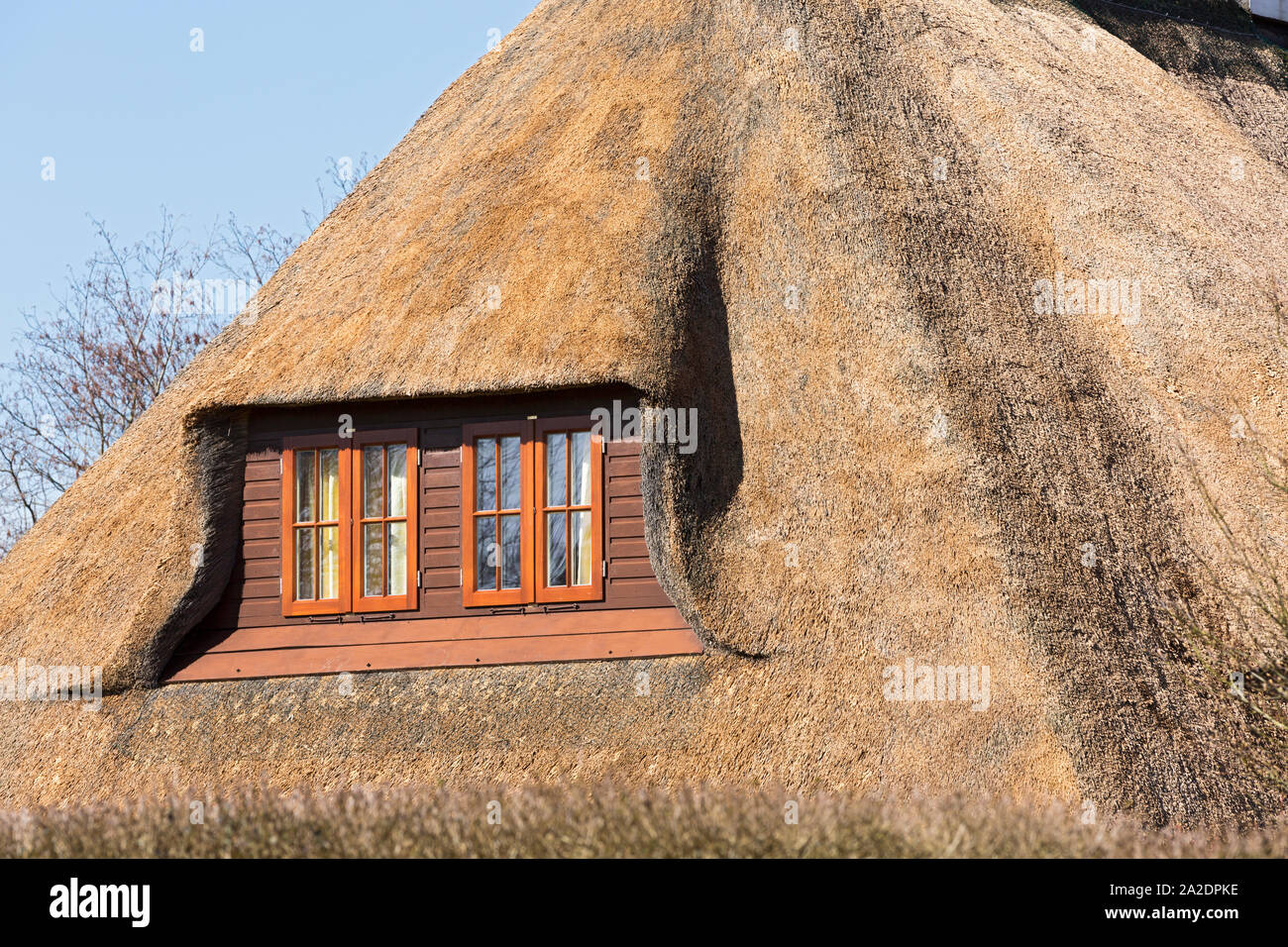 Reetdachhaus hi-res stock photography and images - Alamy