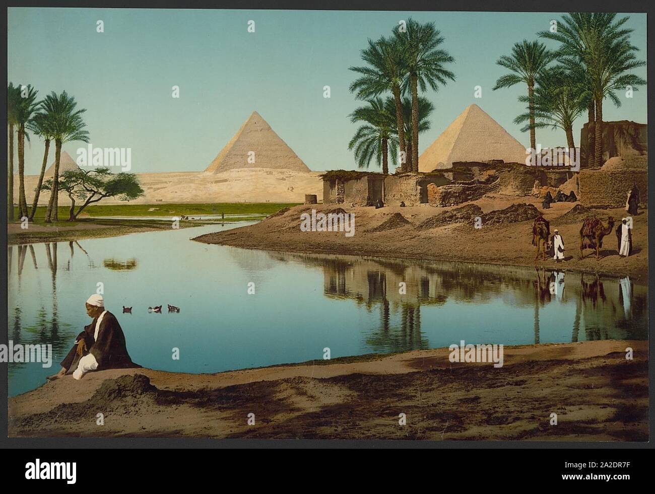 Egypt. Cairo. The pyramids and fellahs Stock Photo - Alamy