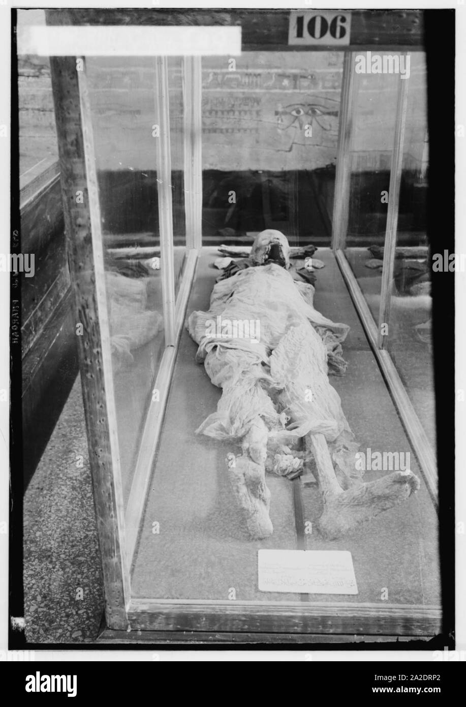 Egyptian museum in cairo mummy hi-res stock photography and images - Alamy