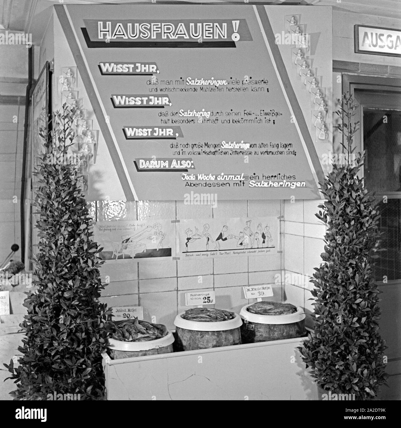 1930s fish display hi-res stock photography and images - Alamy