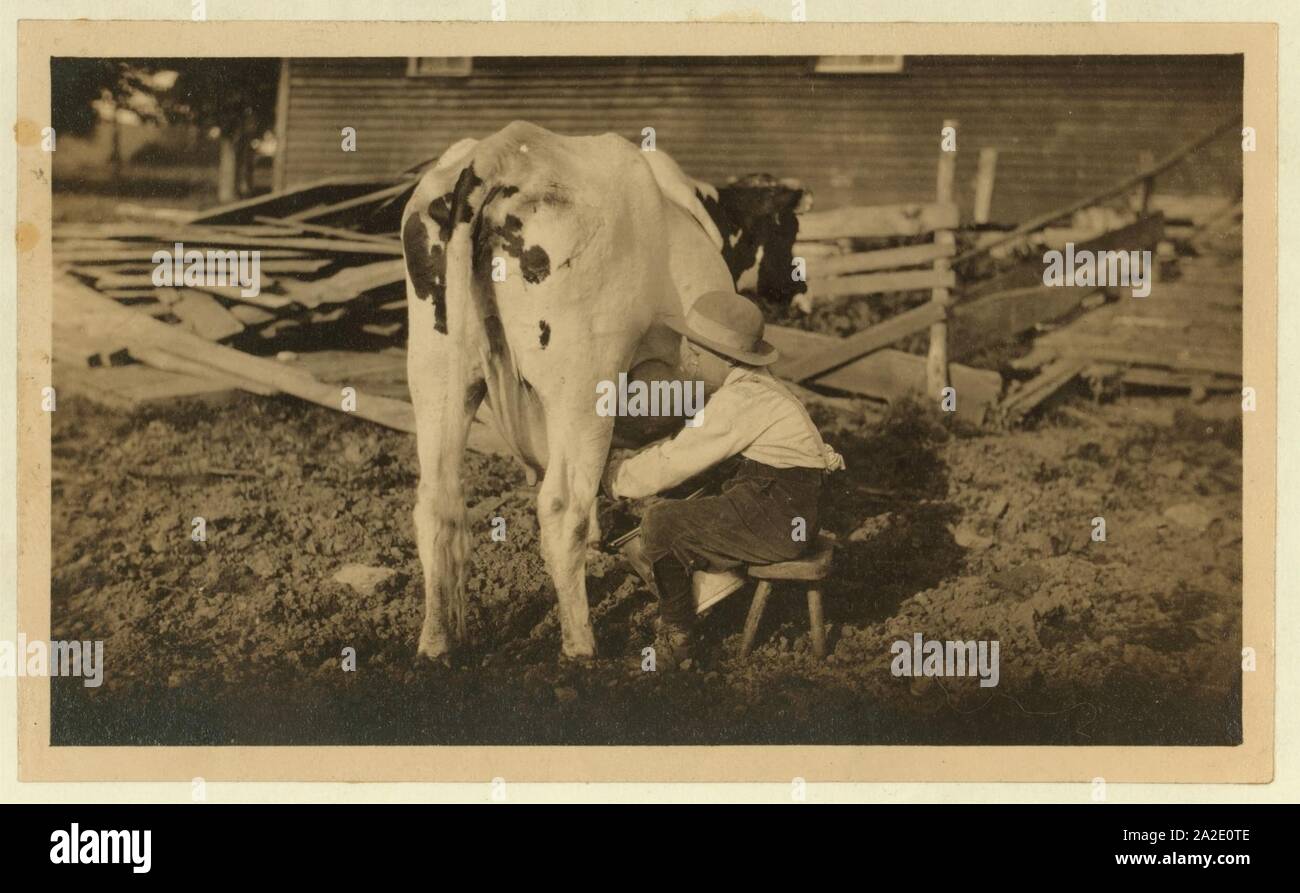 Eight-year old Jack milking the cows. See Hine Report, Rural Child ...