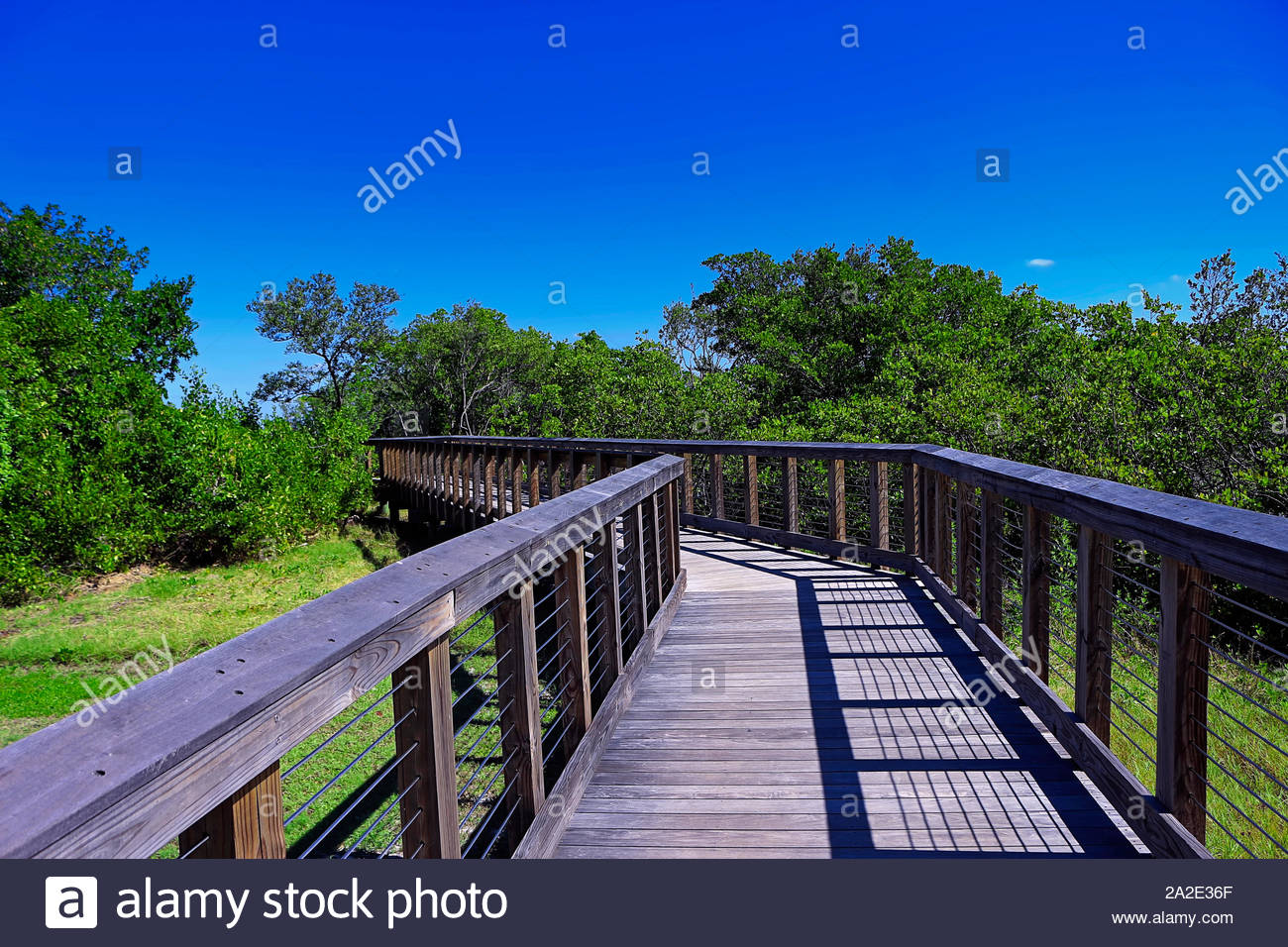 Wooden Elevated Boardwalk High Resolution Stock Photography and Images ...