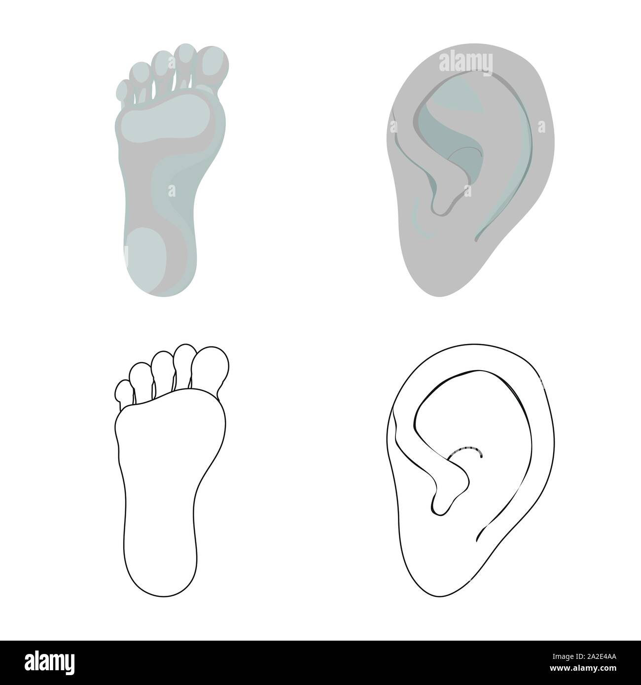 Vector design of body and part logo. Collection of body and anatomy ...