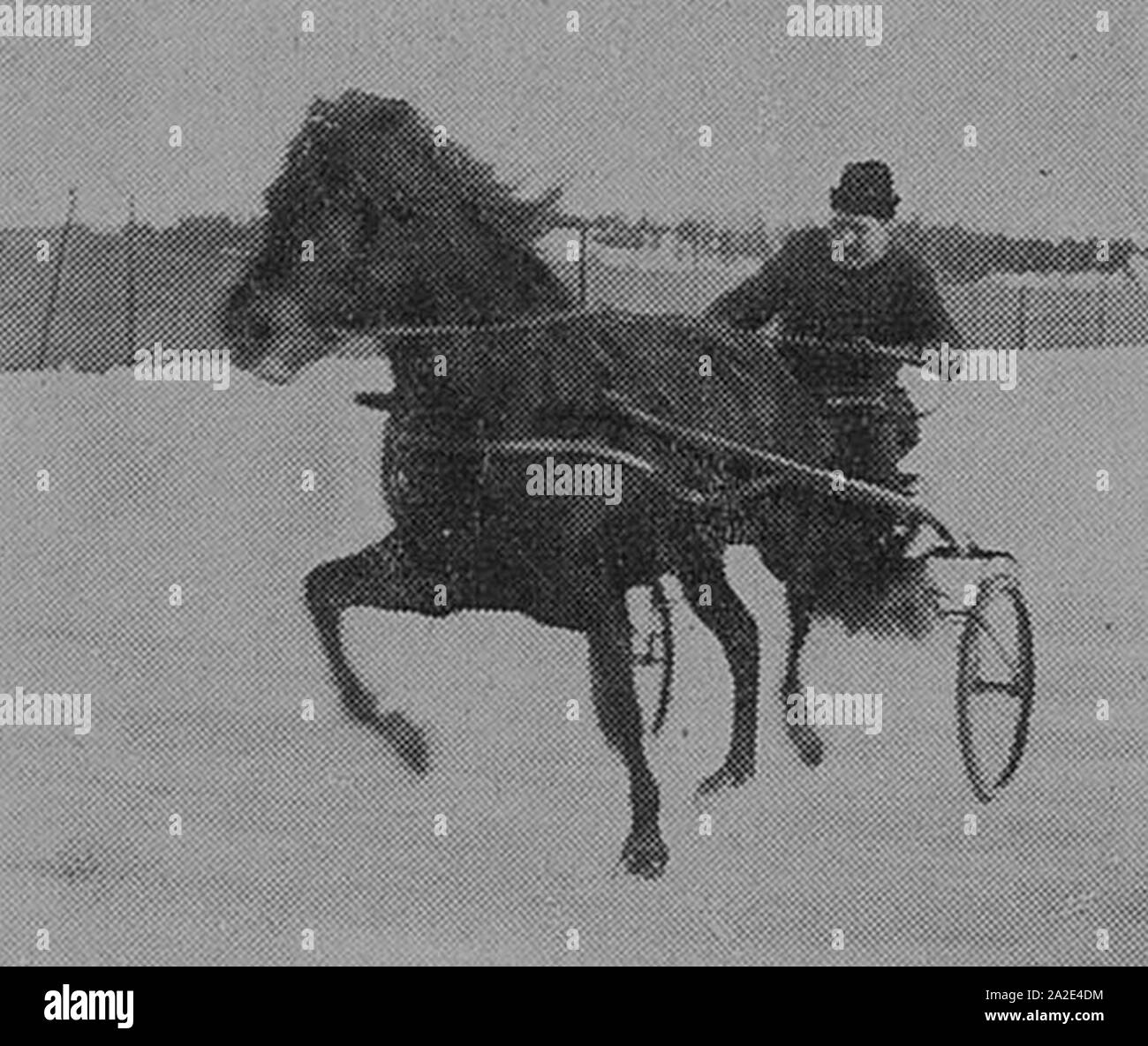 Eino hi-res stock photography and images - Alamy