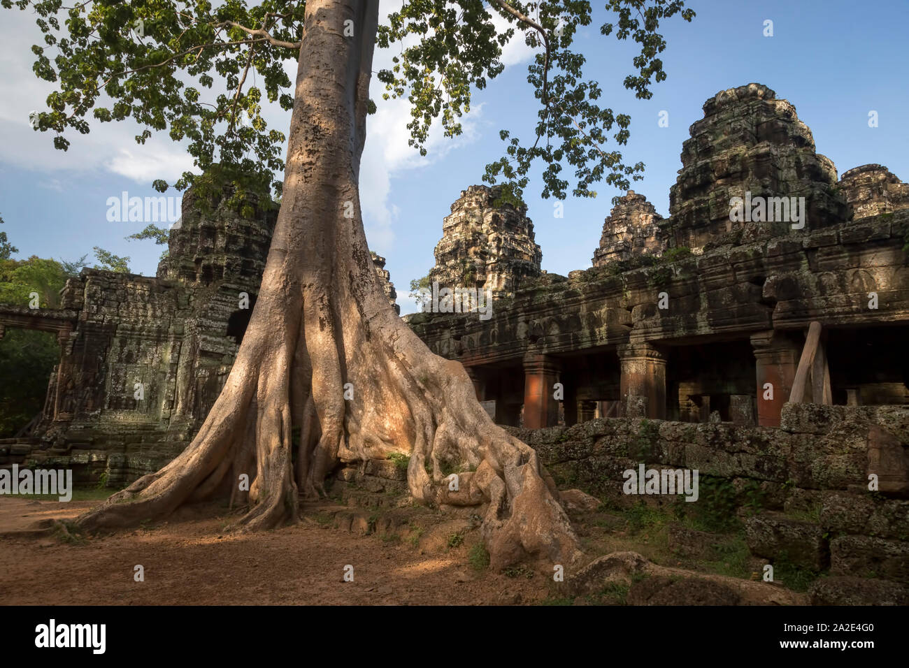 Ta prom hi-res stock photography and images - Alamy