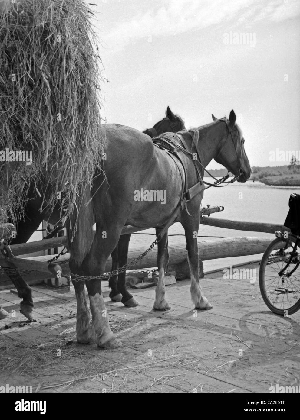 Hay boat Black and White Stock Photos & Images - Alamy