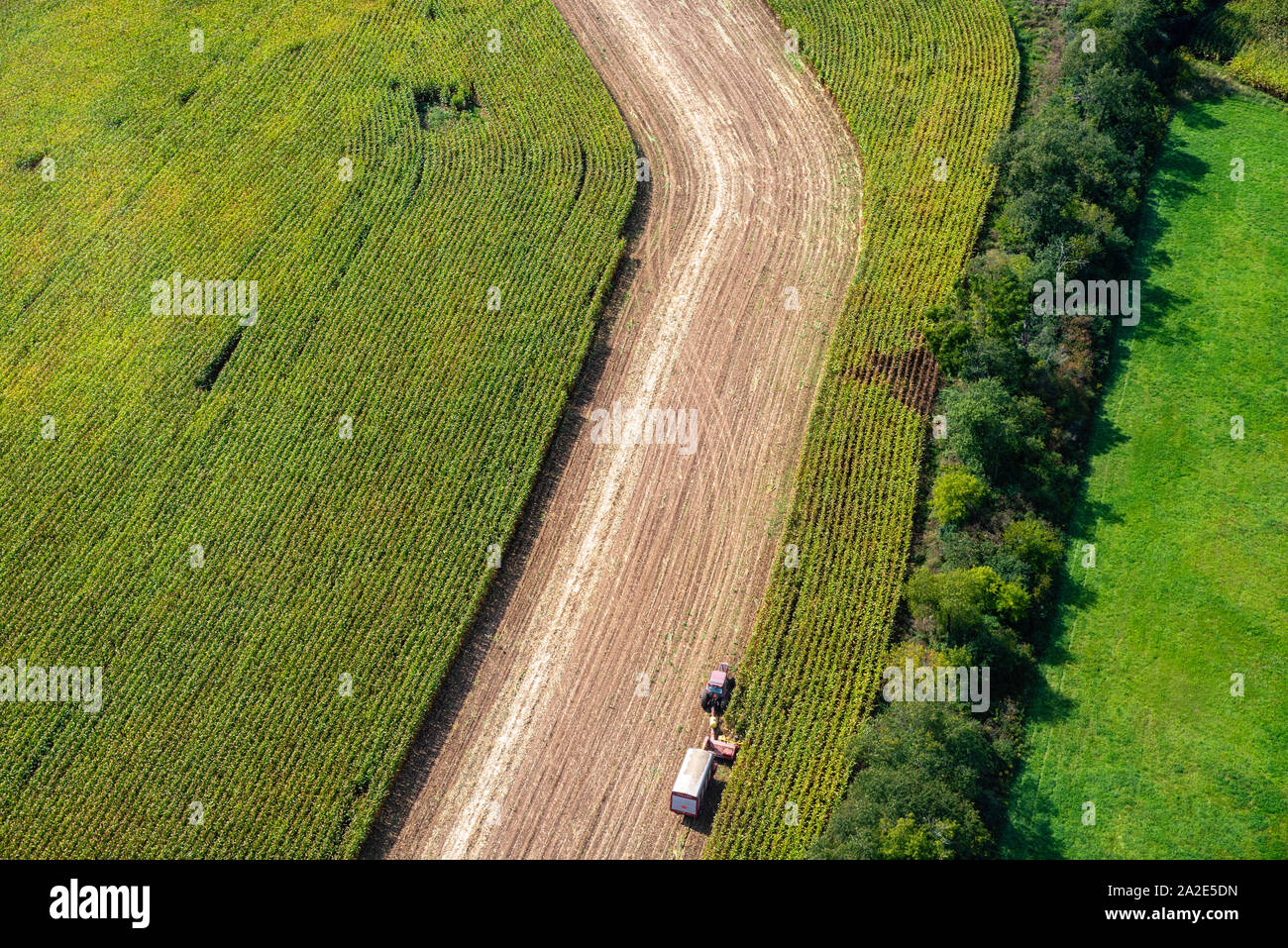 Corn chops hi-res stock photography and images - Alamy