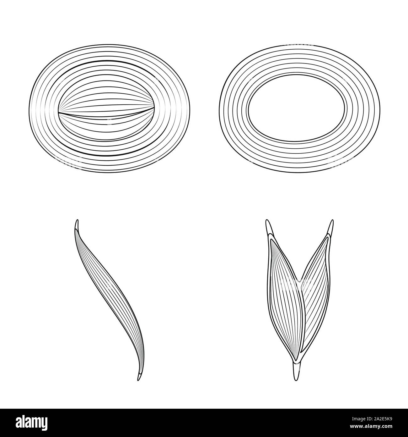 Vector illustration of fiber and muscular logo. Set of fiber and body ...