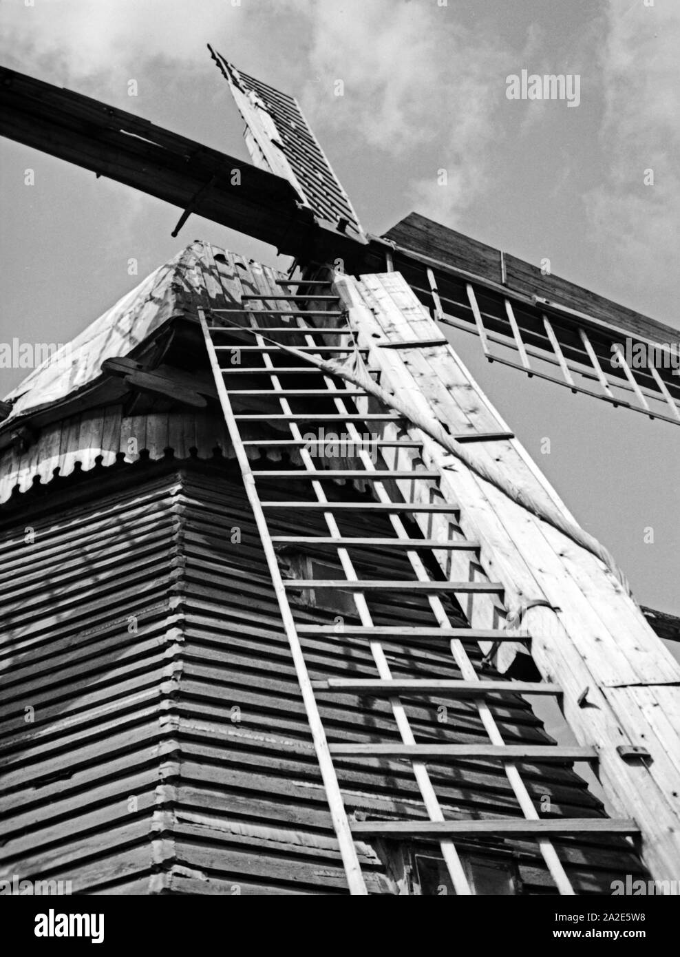 Windmühle bei Friedland, Ostpreußen, 1930er Jahre. Windmill near ...