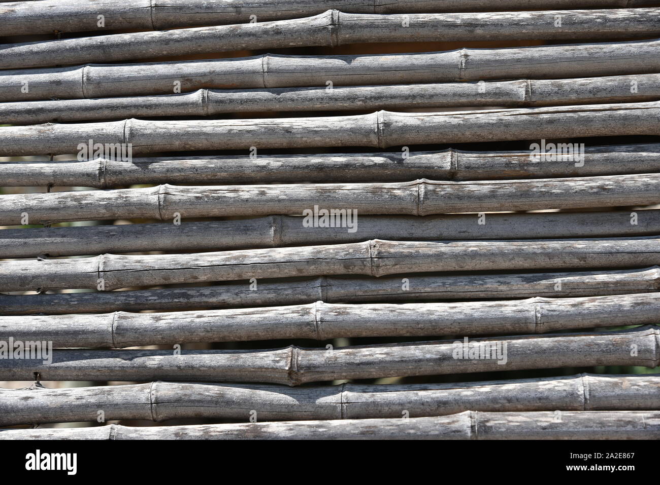 bamboo background Background of dry bamboo pattern, obsolete, foreign ...