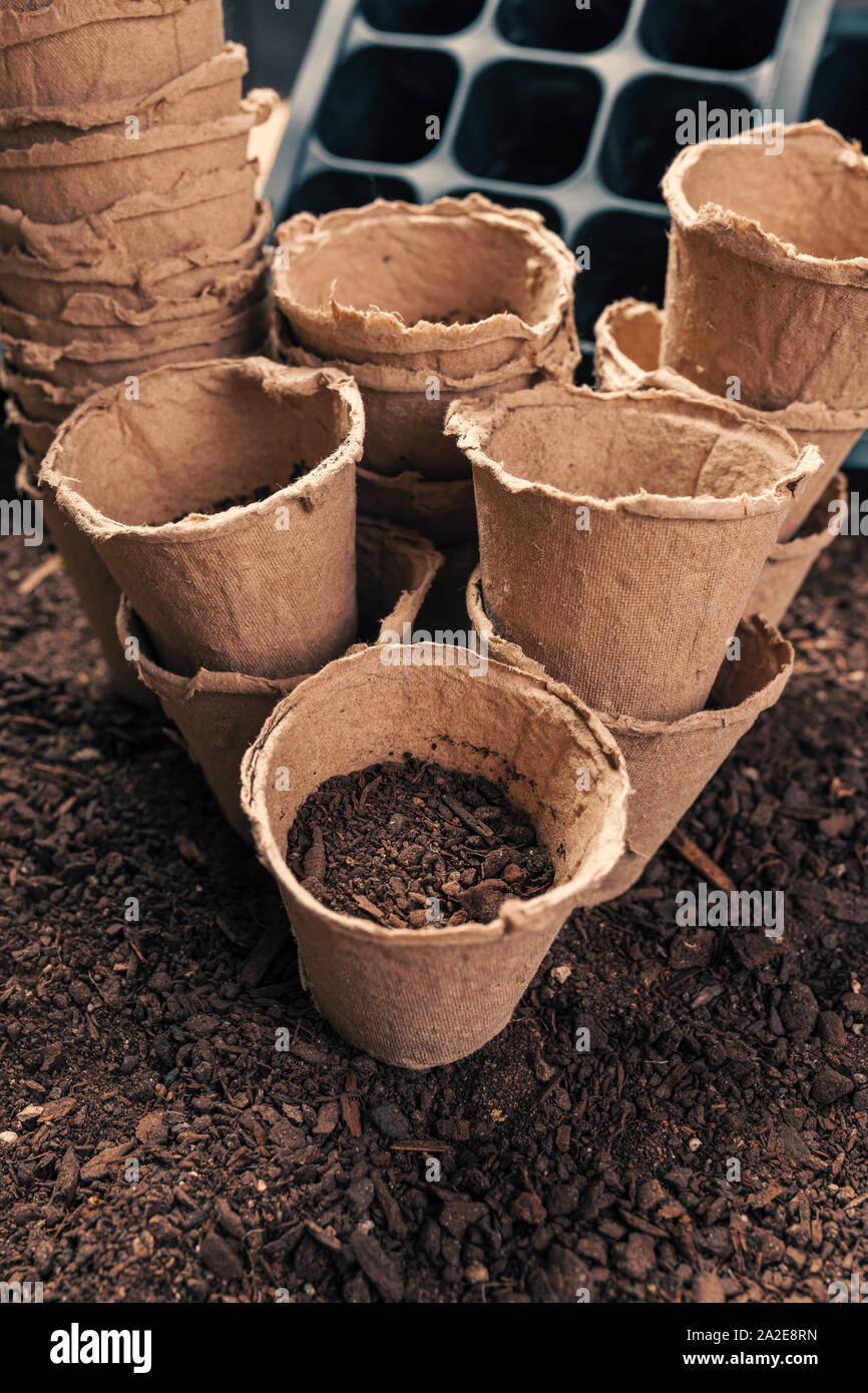 Biodegradable peat pots for organic farming food production on fertile ...
