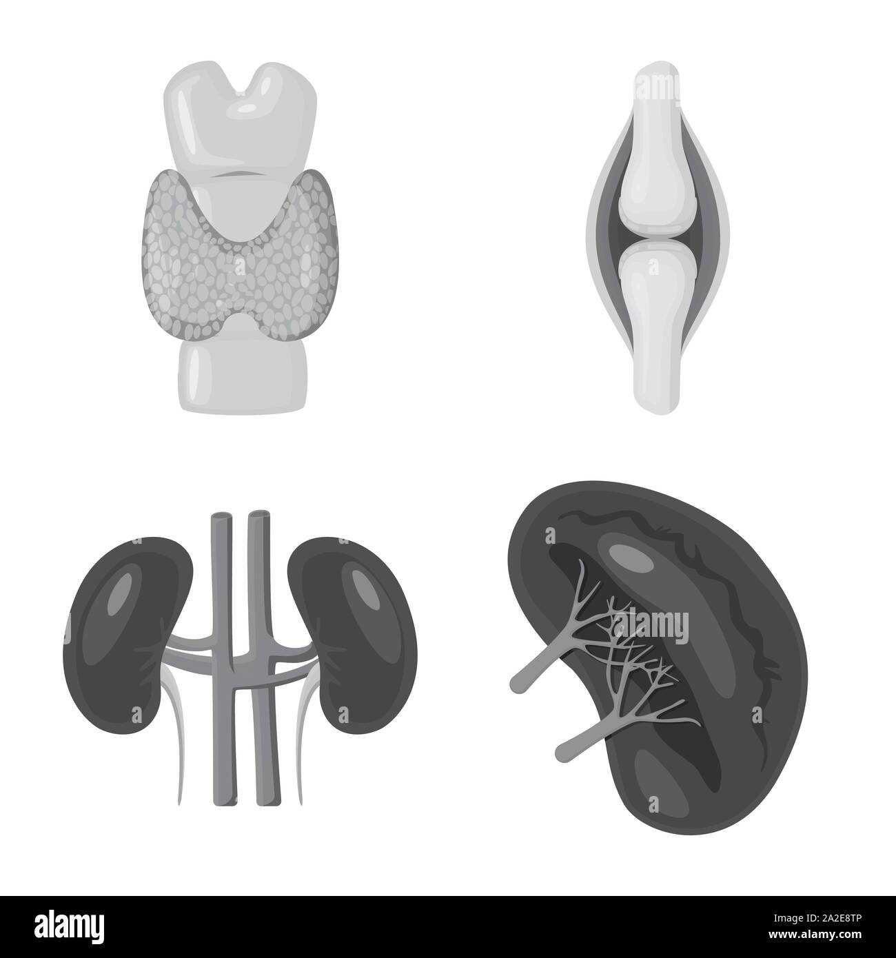 Vector illustration of internal and medical logo. Set of internal and ...