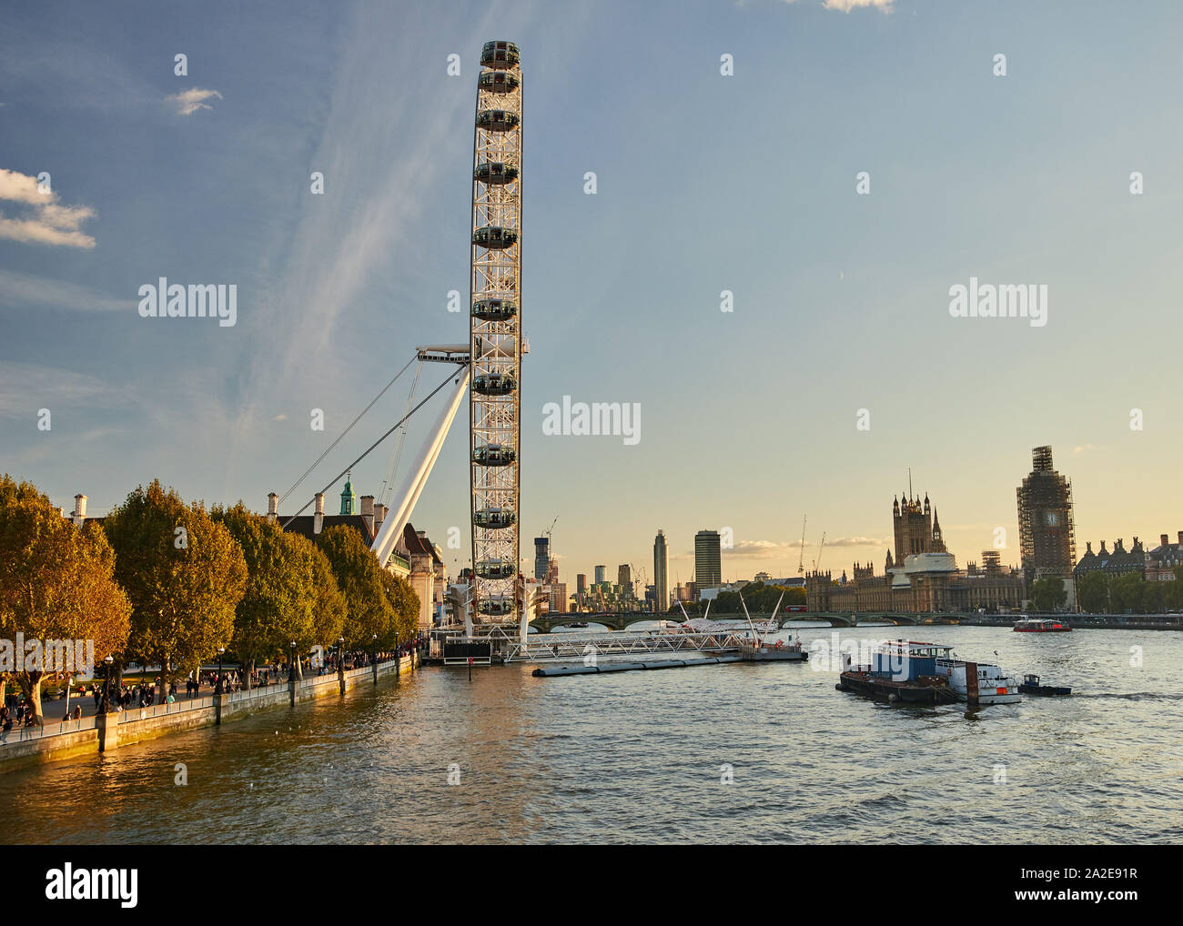 Evening view of the London Eye looking West from the Golden Jubilee ...