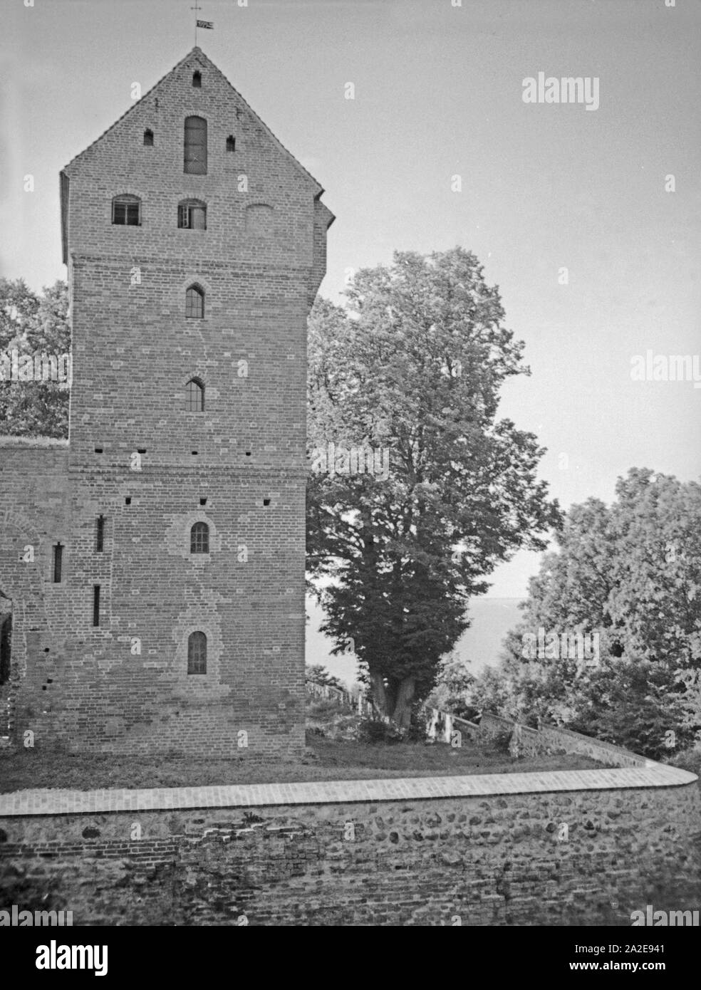 Balga hi-res stock photography and images - Alamy