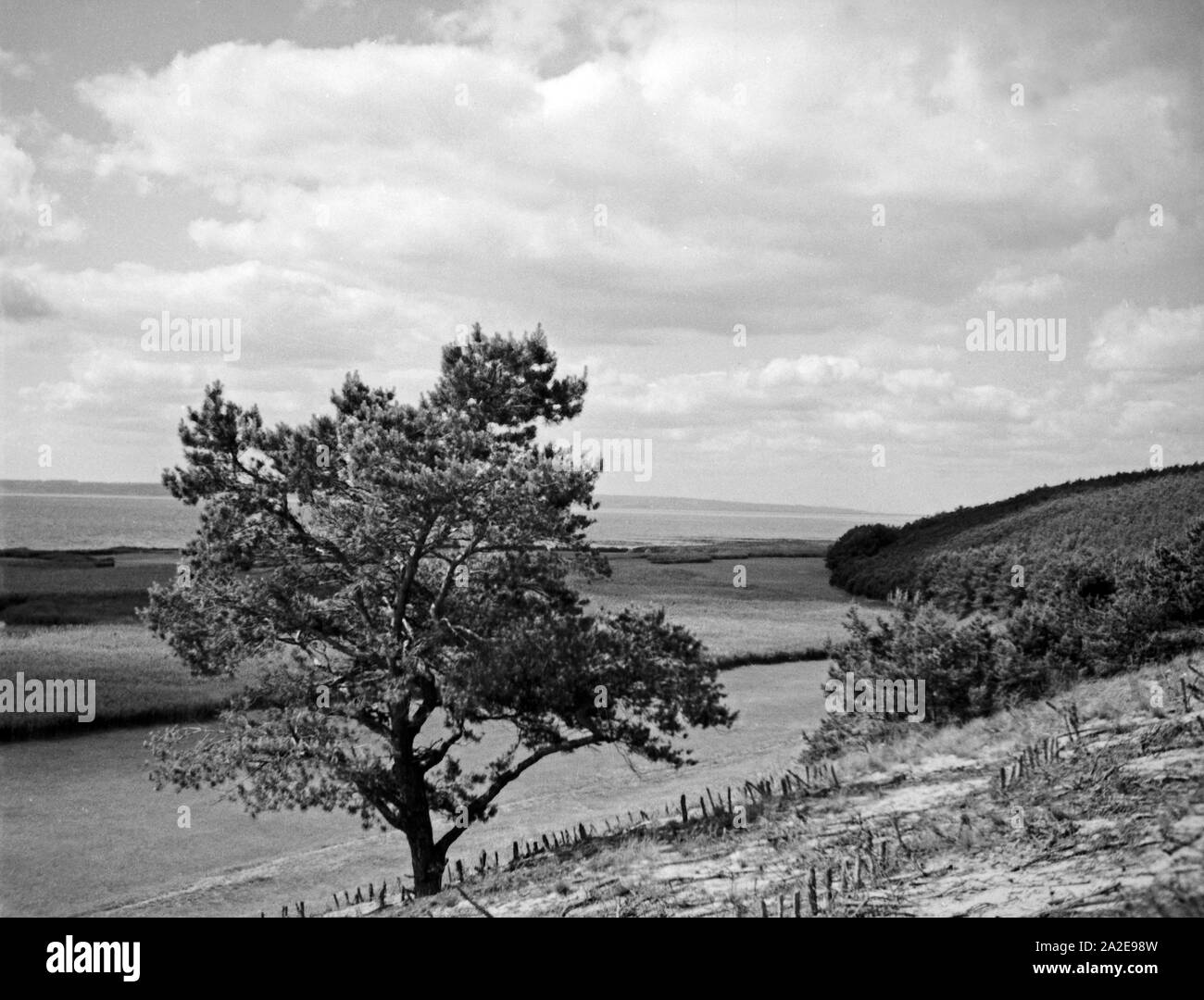 Nehrungslandschaft hi-res stock photography and images - Alamy