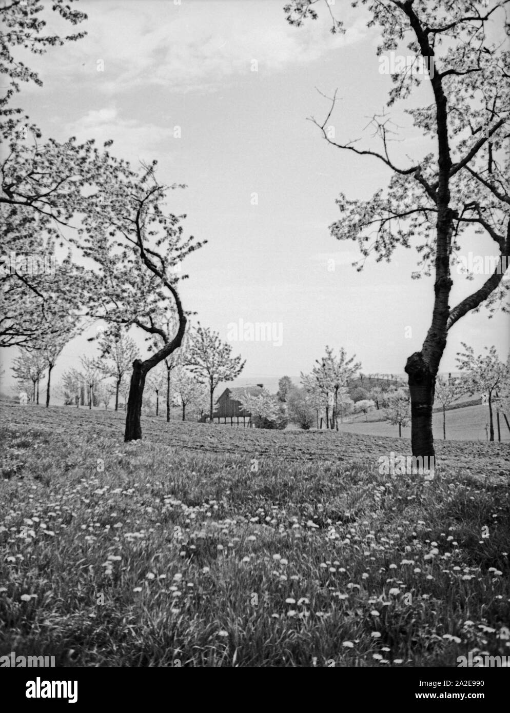 Elbing prussia Black and White Stock Photos & Images - Alamy