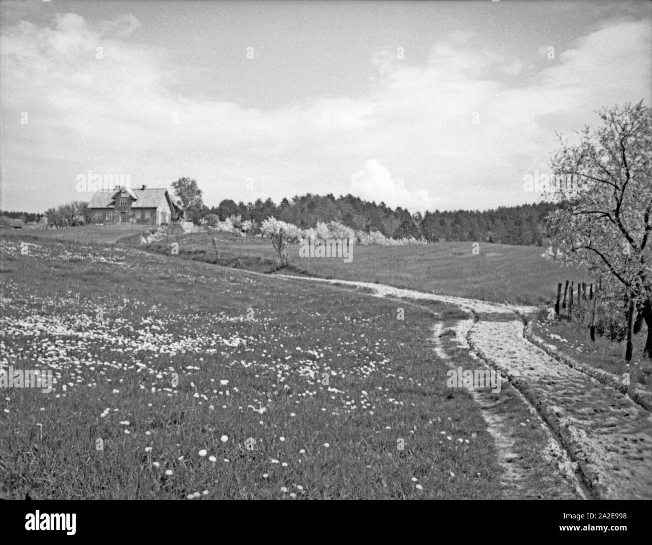 Elbing prussia Black and White Stock Photos & Images - Alamy