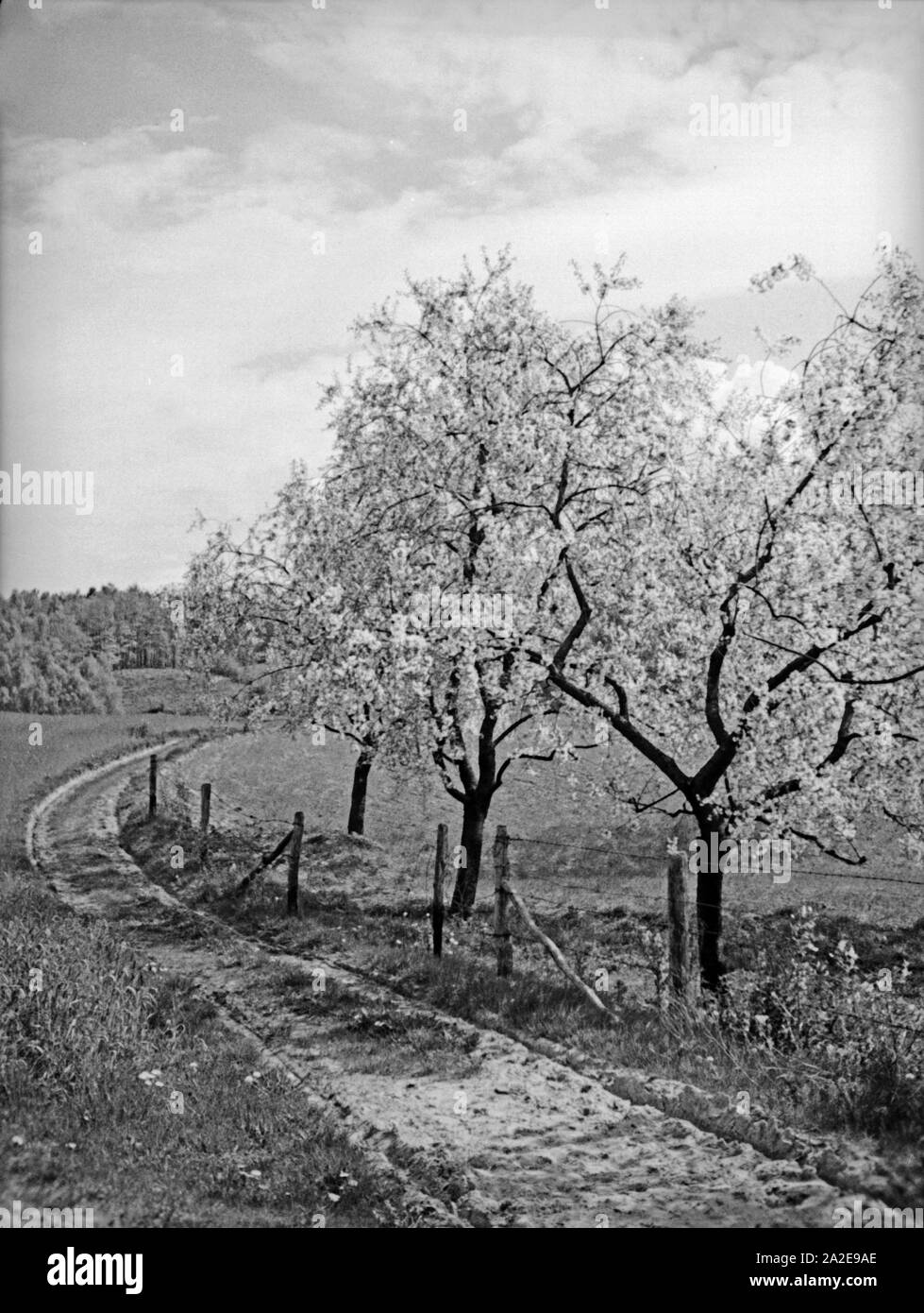 Elbing prussia Black and White Stock Photos & Images - Alamy