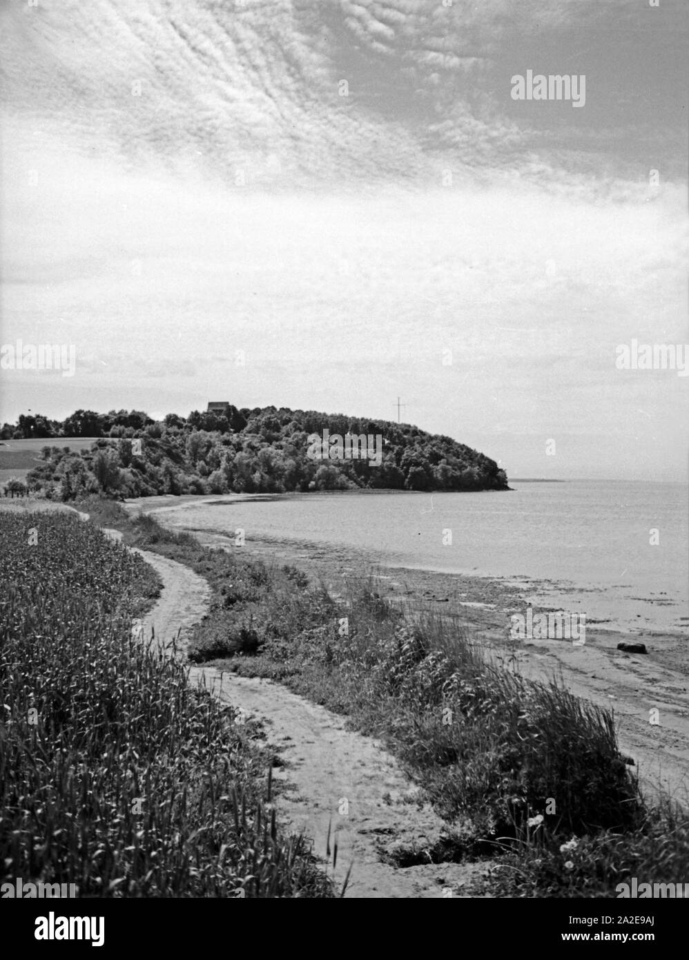 Balga hi-res stock photography and images - Alamy