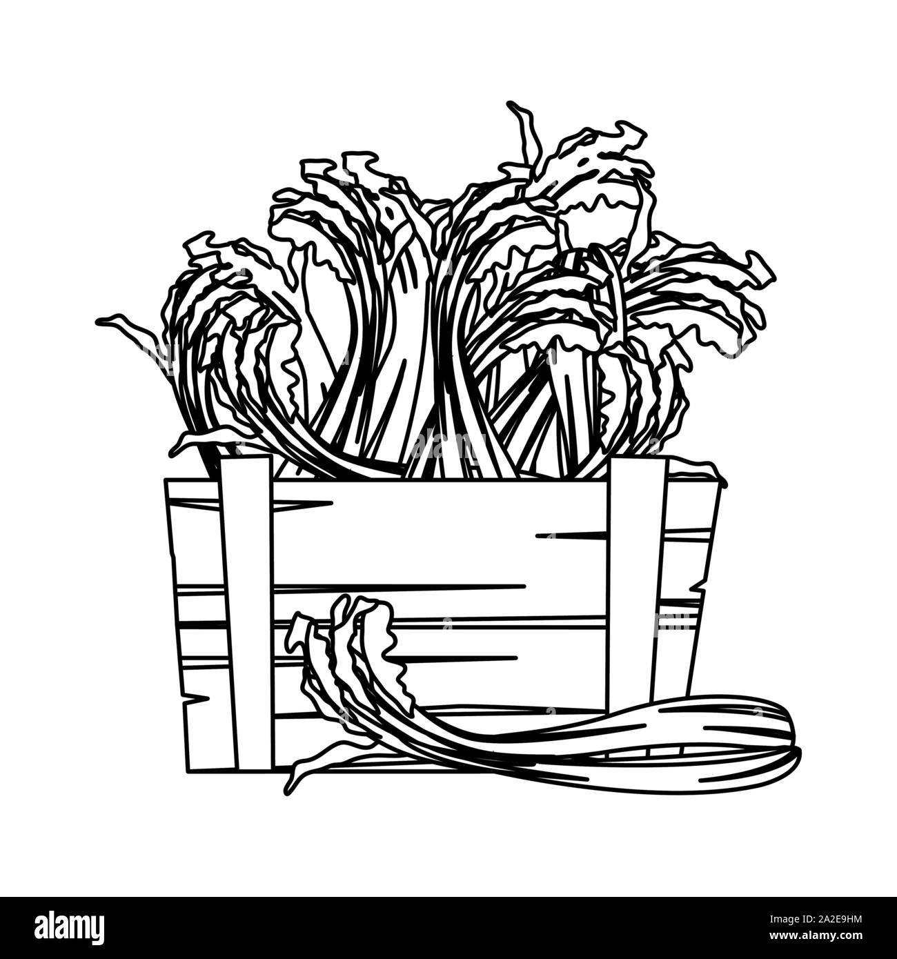 celery design, Vegetable organic food healthy fresh natural and market ...