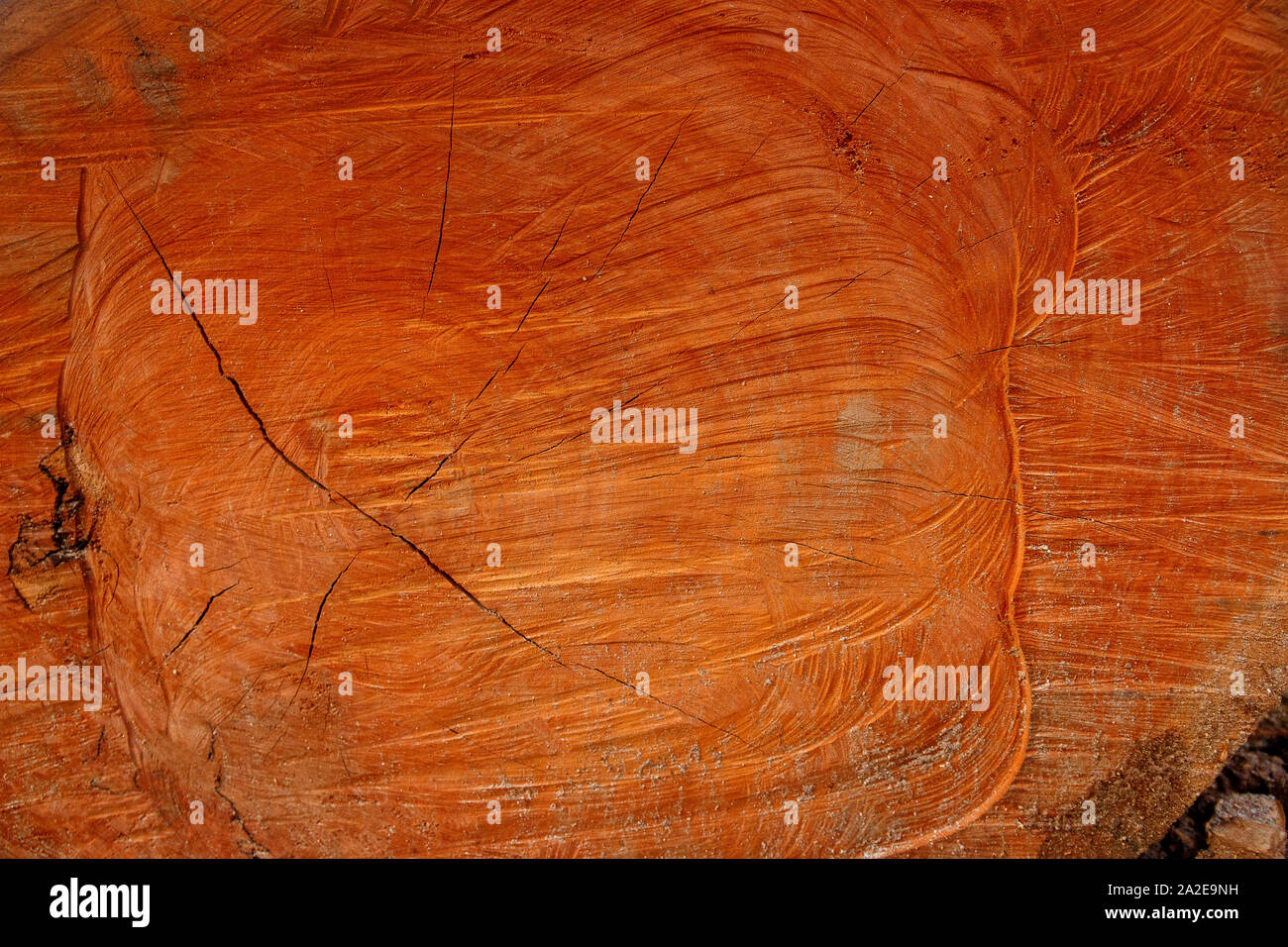 Wood Texture Close up Stock Photo - Alamy